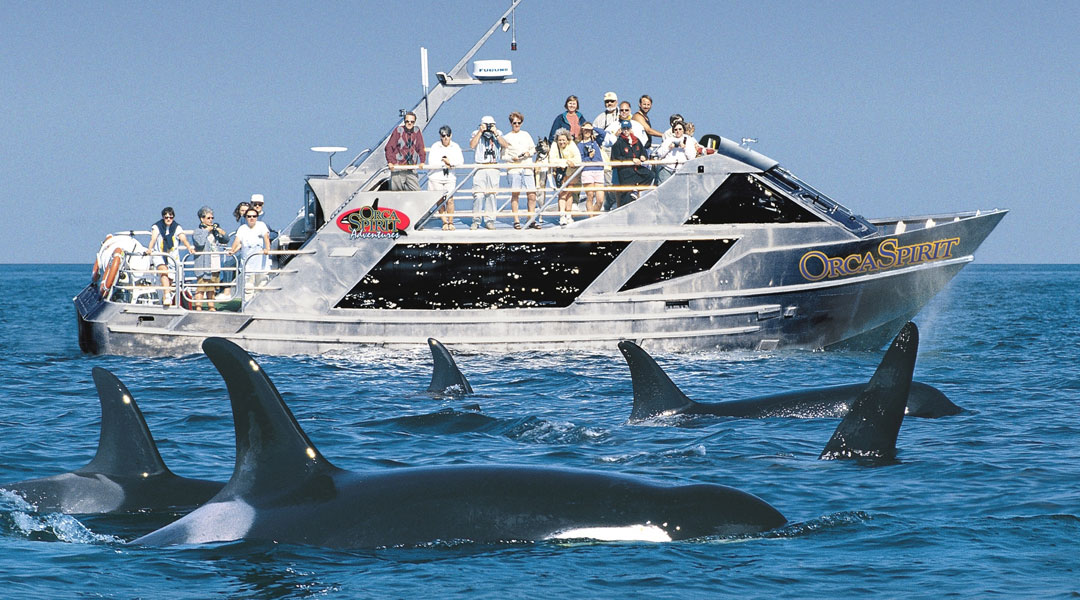 Activity Details | BC Ferries Vacations