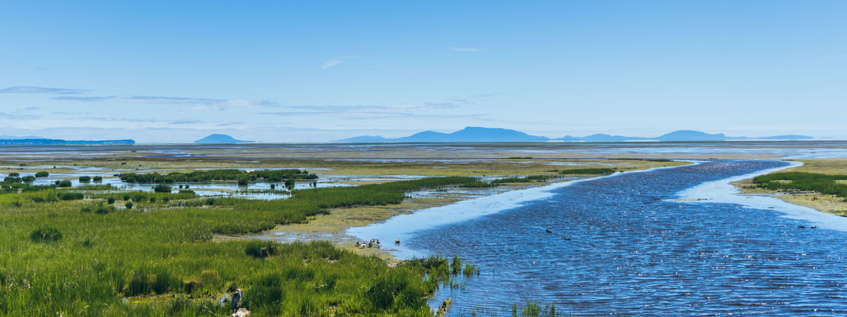 Delta - Delta | BC Ferries Vacations