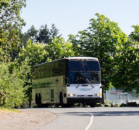 Activity Details | BC Ferries Vacations