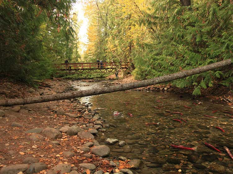 Chase - Chase | BC Ferries Vacations