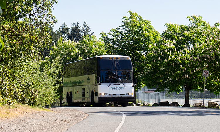 Activity Details | BC Ferries Vacations