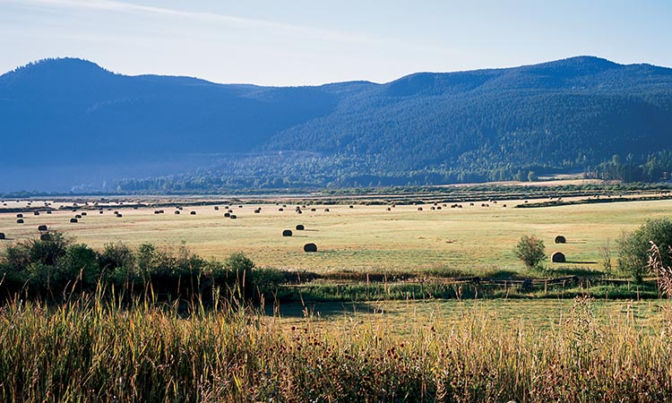 108 Mile Ranch - 108 Mile Ranch | BC Ferries Vacations