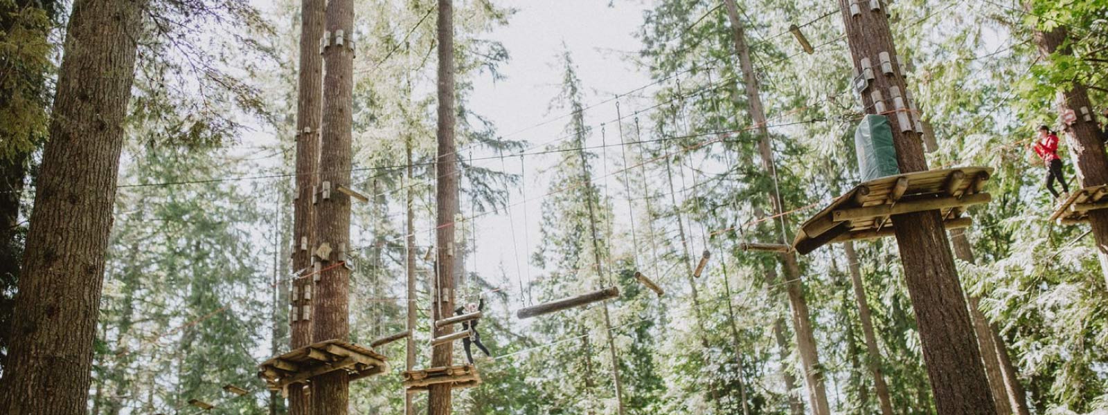 Activity Details | BC Ferries Vacations