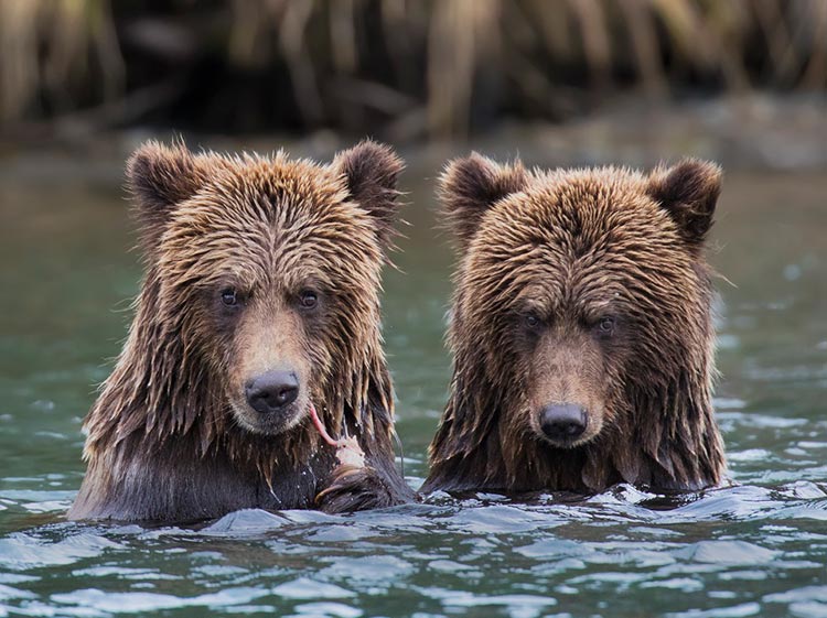 Tatla Lake - Tatla Lake | BC Ferries Vacations