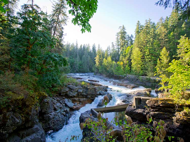Port Alberni - Port Alberni | BC Ferries Vacations