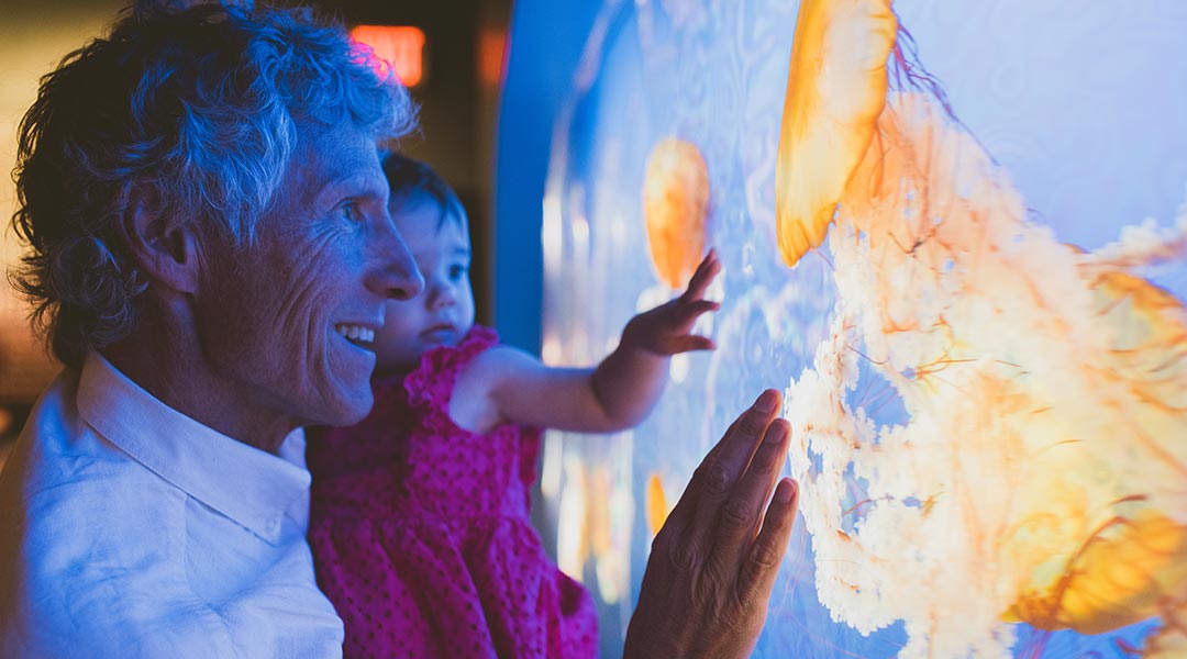 Sidney - Sidney | BC Ferries Vacations