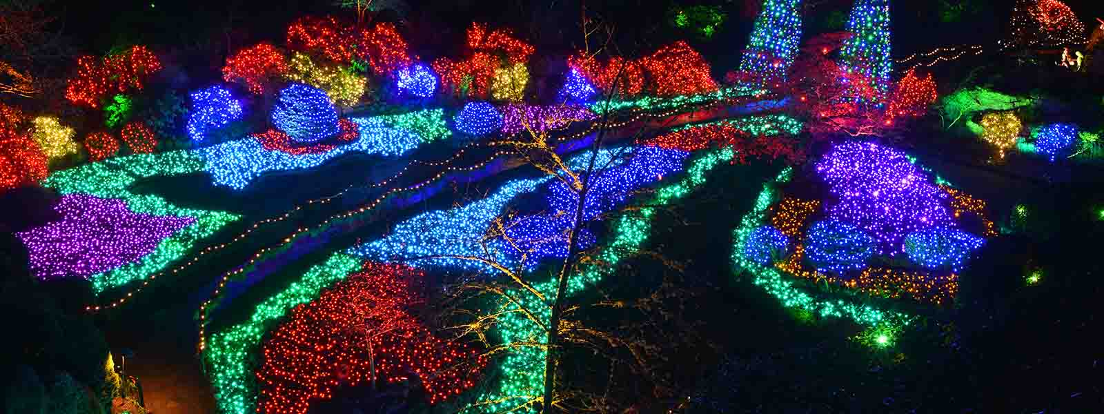 Activity Details | BC Ferries Vacations