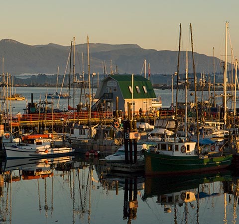 Cowichan Bay - Cowichan Bay | BC Ferries Vacations