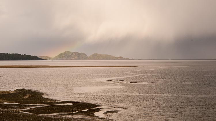 Inside Passage Wilderness Circle Tour | BC Ferries Vacations