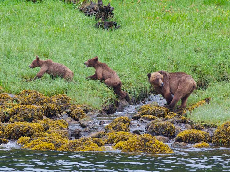 Prince Rupert - Prince Rupert | BC Ferries Vacations