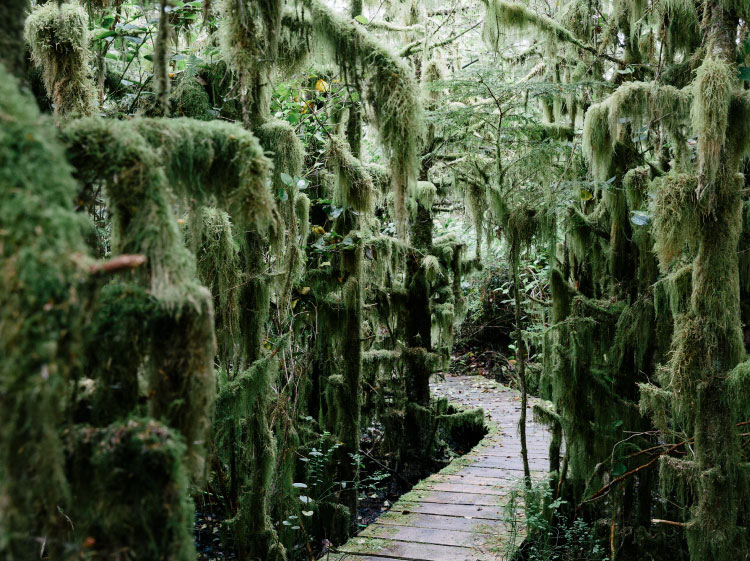 Daajing Giids - Daajing Giids | BC Ferries Vacations