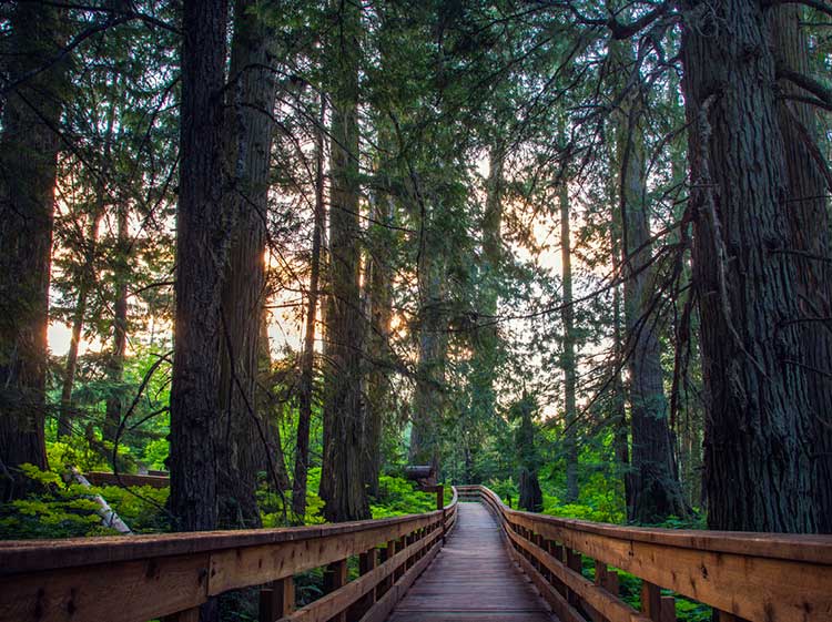 Prince George - Prince George | BC Ferries Vacations