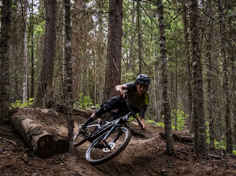 Prince George - Prince George | BC Ferries Vacations