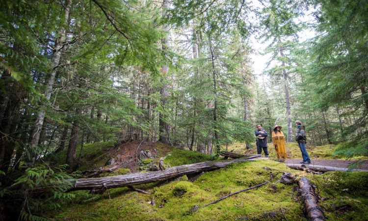 Indigenous BC Experiences