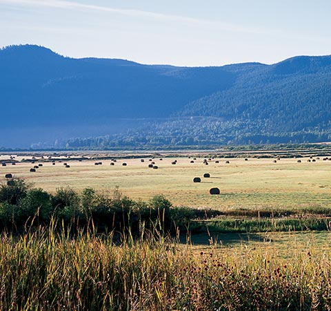108 Mile Ranch - 108 Mile Ranch | BC Ferries Vacations