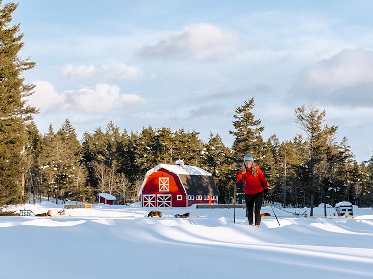 108 Mile Ranch - 108 Mile Ranch | BC Ferries Vacations