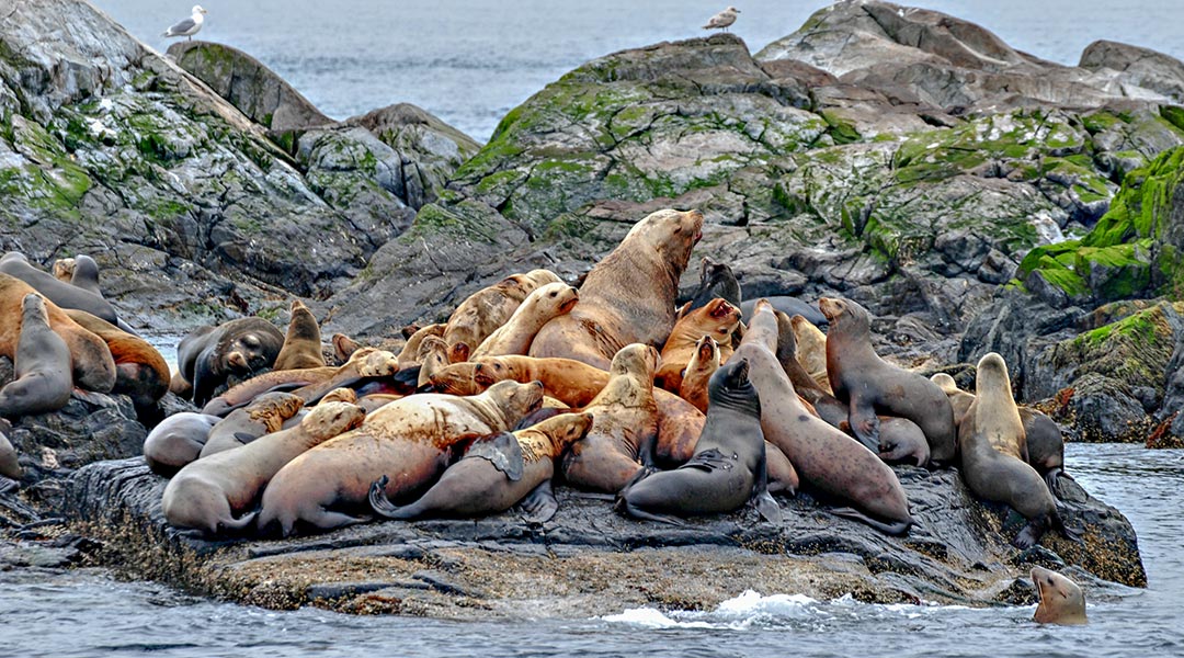 Port Renfrew - Port Renfrew | BC Ferries Vacations