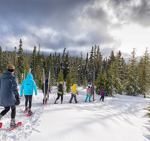 Mount Washington - Mount Washington | BC Ferries Vacations