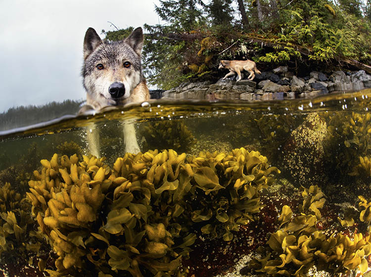 Cariboo Chilcotin Coast | BC Ferries Vacations