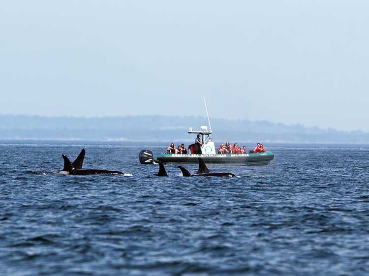 Sidney - Sidney | BC Ferries Vacations