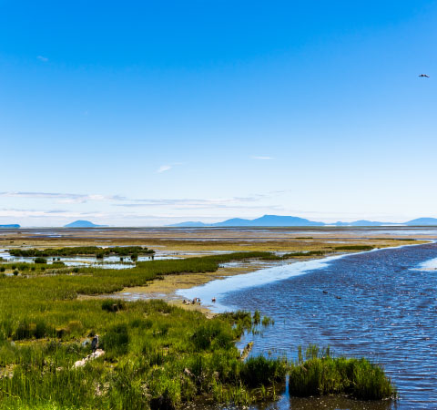 Delta - Delta | BC Ferries Vacations